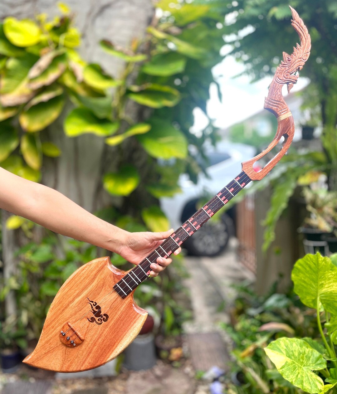 Acoustic Thai Asian Guitar 3 Strings, Isan Mandolin Musical Instrument ...