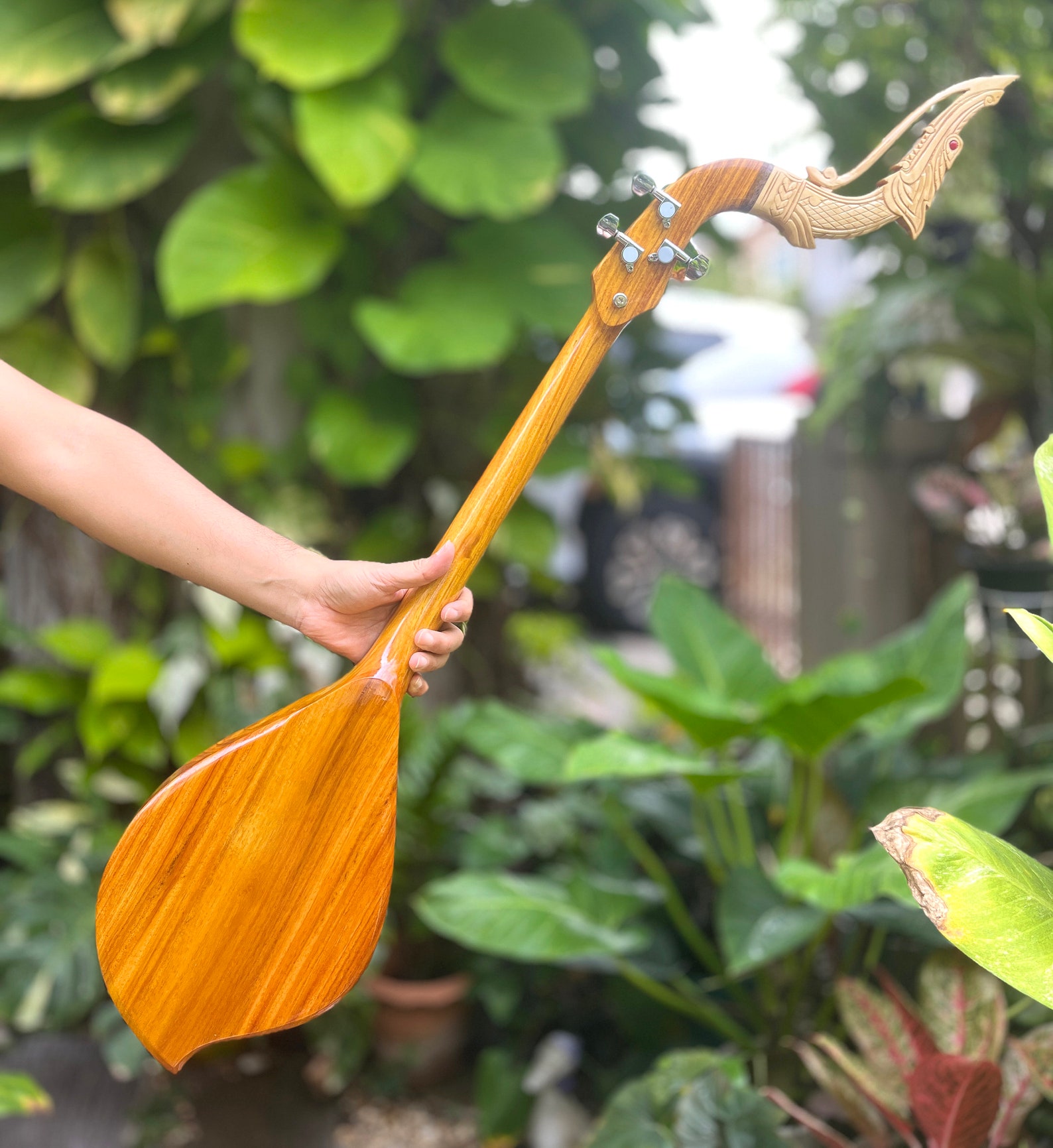 Acoustic Electric Thai Asian Guitar 3 Strings, Isarn Mandolin Musical ...