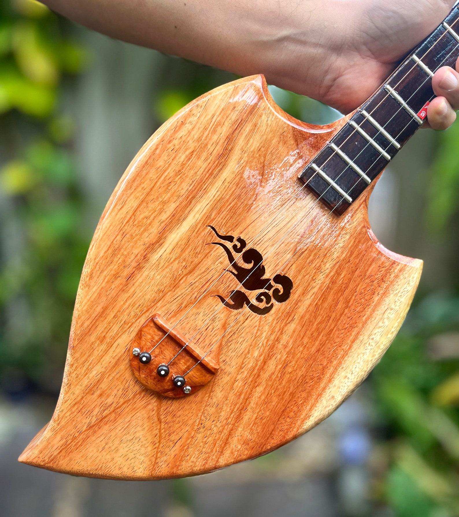 Acoustic Thai Asian Guitar 3 Strings, Isan Mandolin Musical Instrument ...