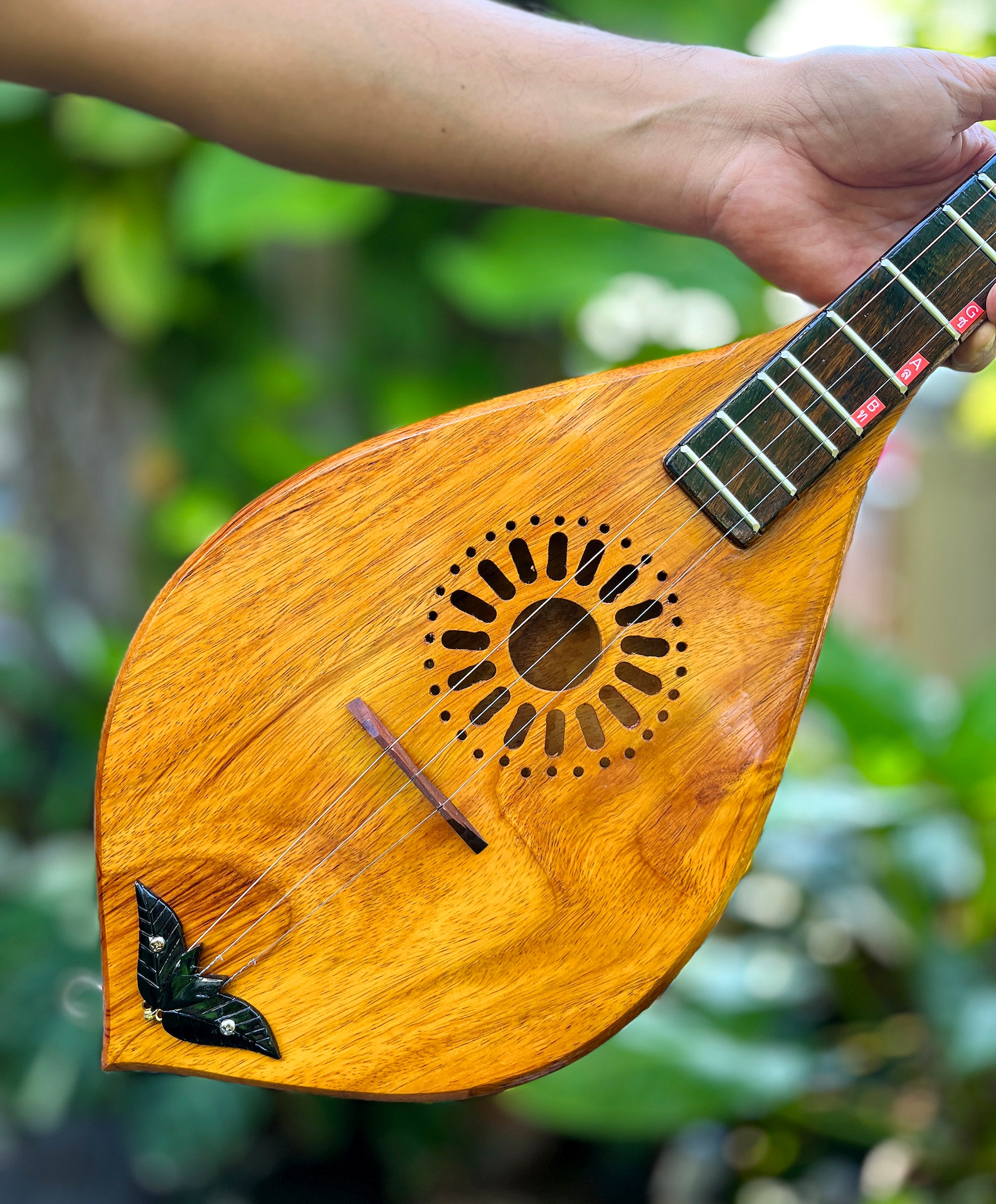Acoustic Traditional Thai Phin (isan Lute) – 3-string Handmade Wooden ...