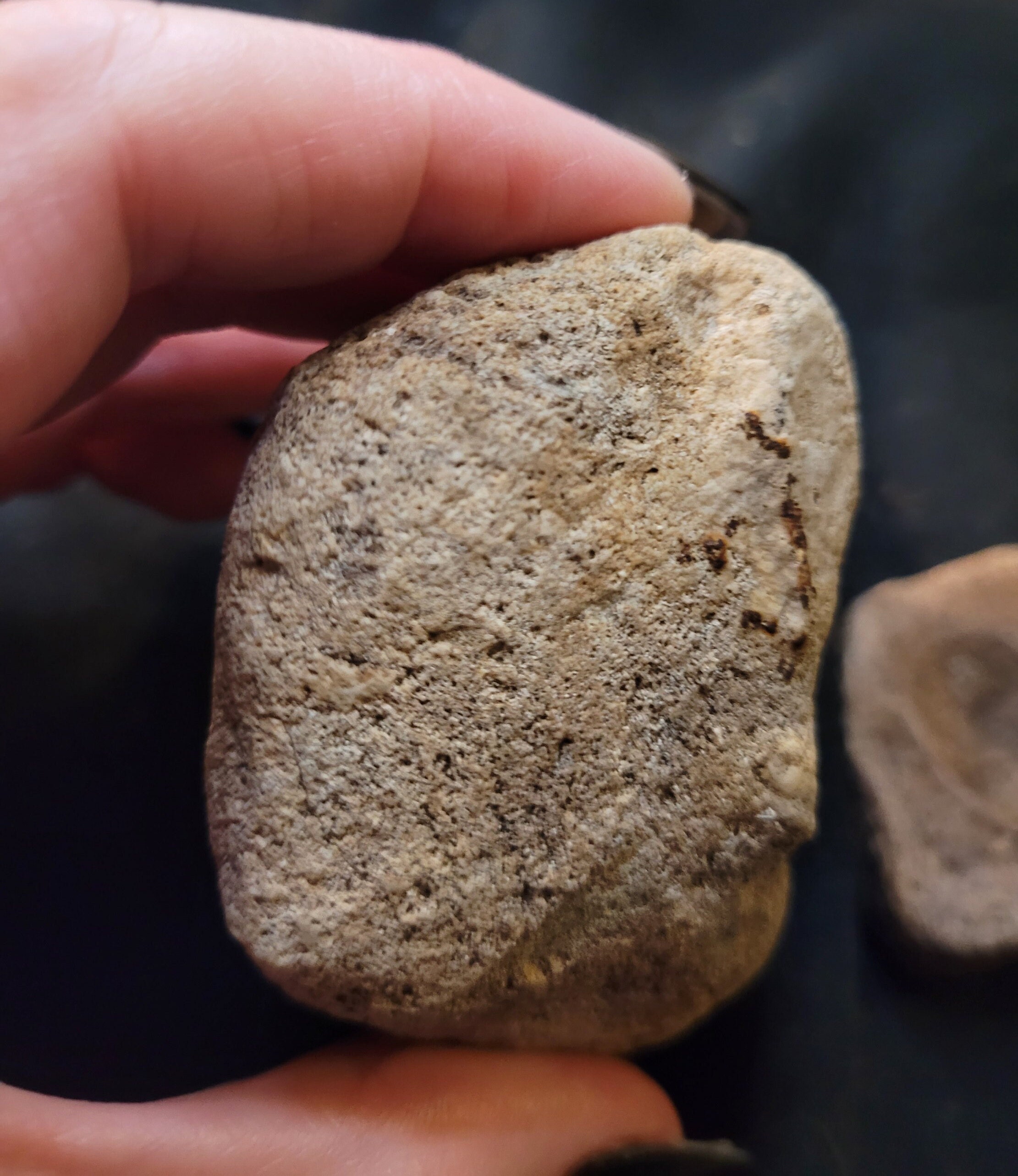 Paleolithic Rock Art Sculpture - Etsy