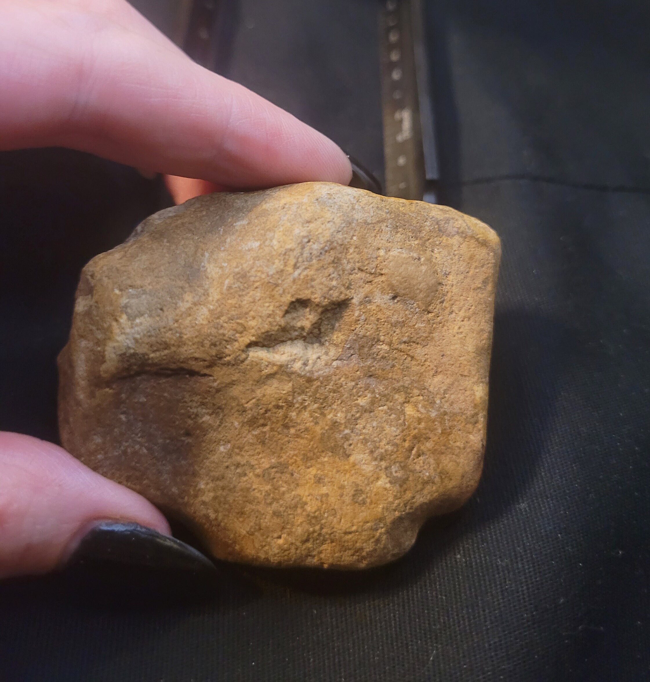 Paleolithic Rock Art Bird - Etsy