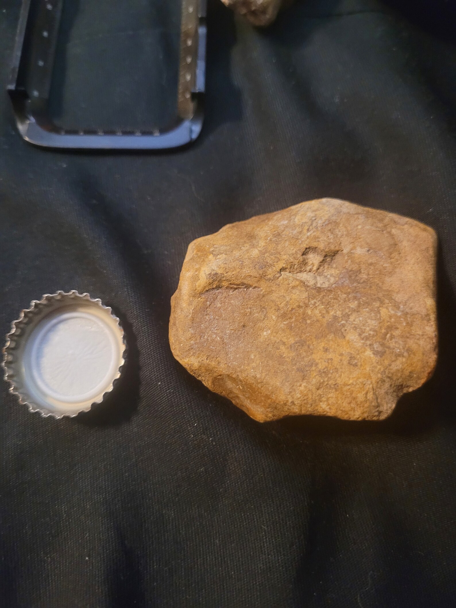 Paleolithic Rock Art Bird - Etsy