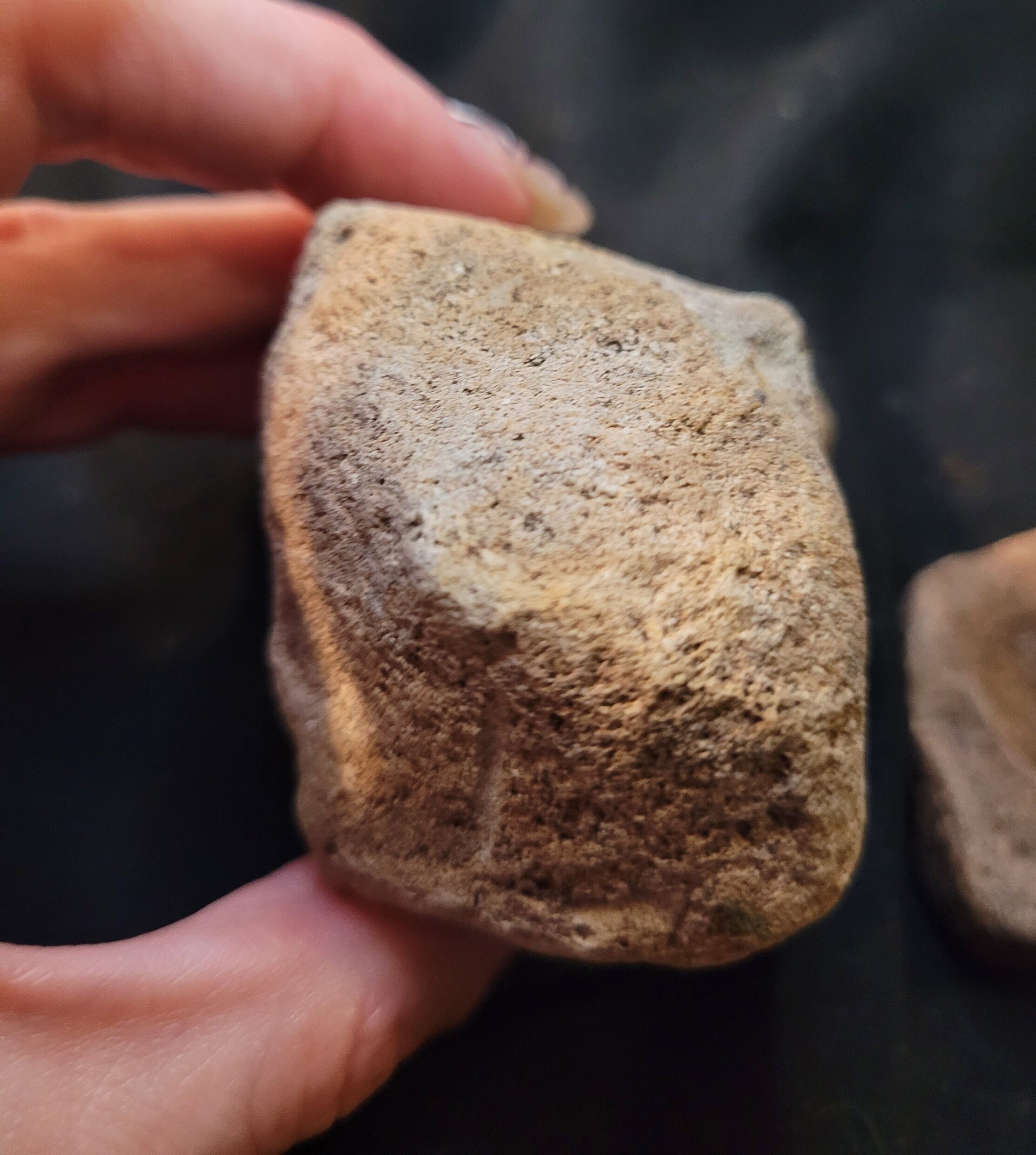 Paleolithic Rock Art Sculpture - Etsy