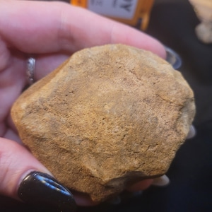 Paleolithic Rock Art Bird - Etsy