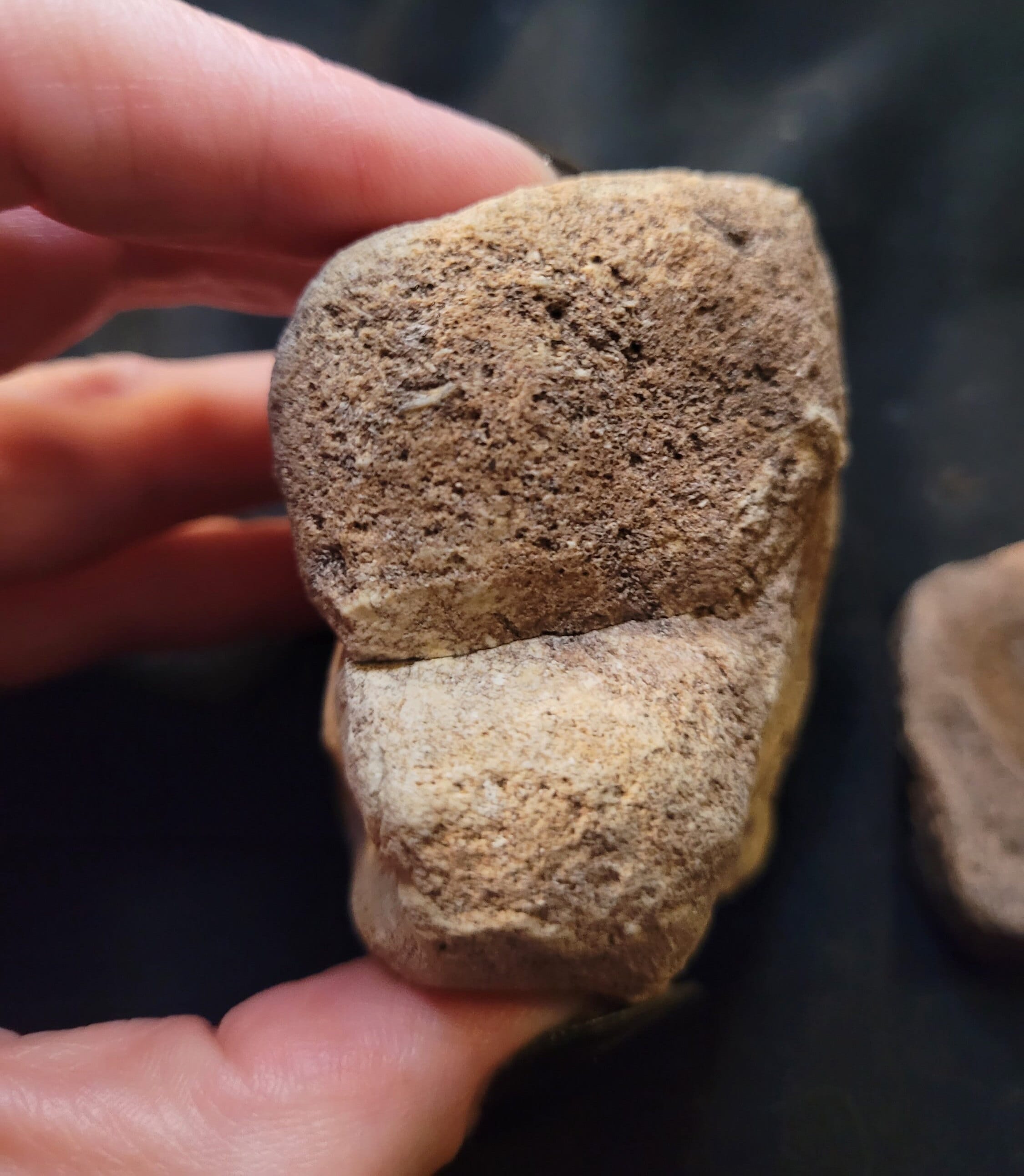 Paleolithic Rock Art Sculpture - Etsy