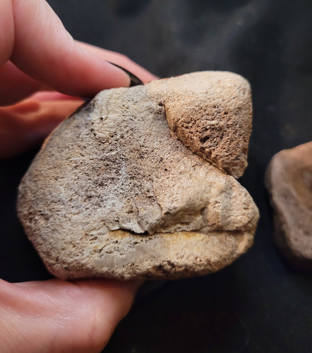 Paleolithic Rock Art Sculpture - Etsy
