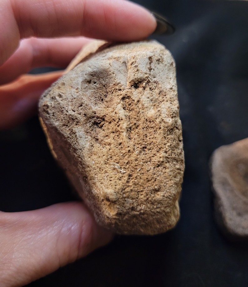 Paleolithic Rock Art Sculpture - Etsy