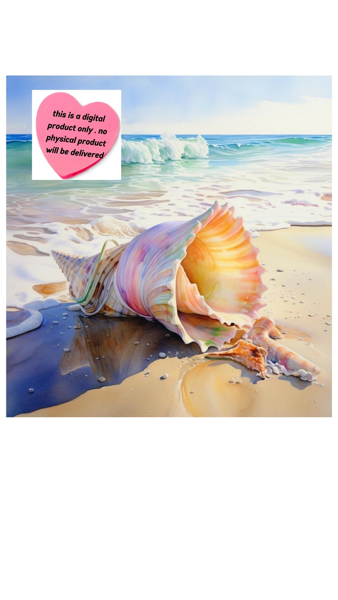 Shell Decor Wall Art Sea Shell Photos, Sea Shell Download, Shell Decor ...