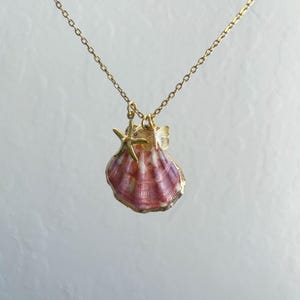 Seashell Necklace, Real Seashell Charm Necklace, Scallop Necklace ...