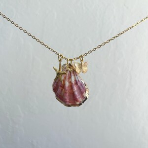 Seashell Necklace, Real Seashell Charm Necklace, Scallop Necklace ...