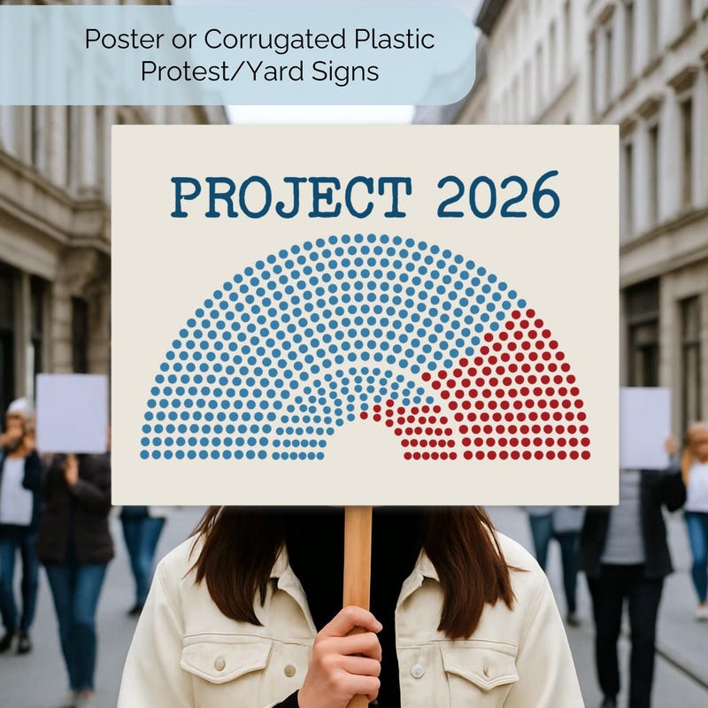 Democracy Protest Sign - Etsy