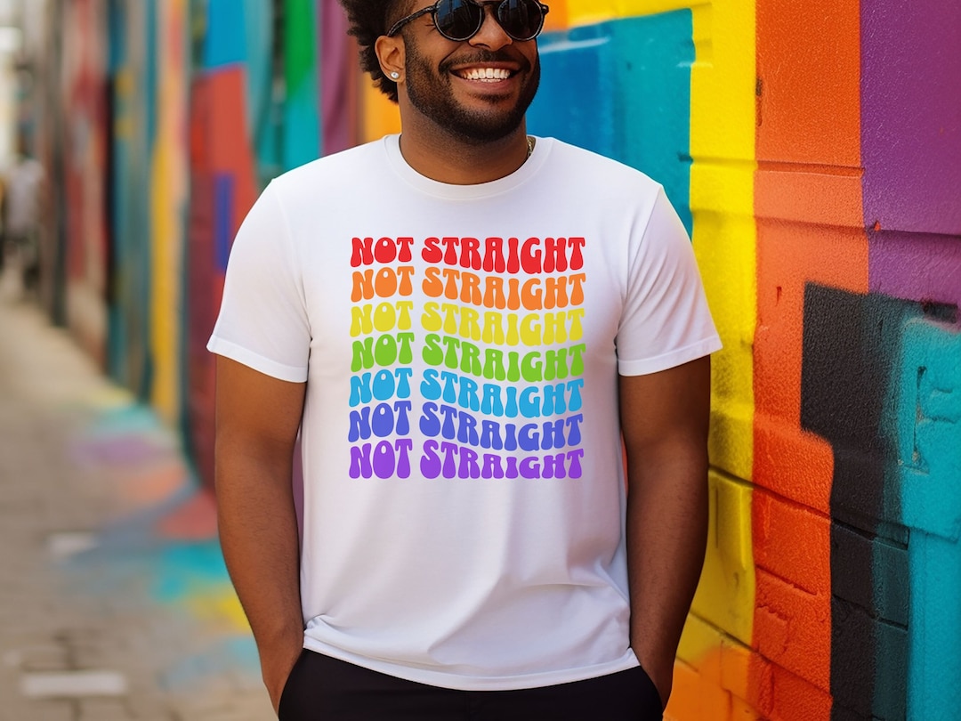 Funny Pride Shirt, LGBT Shirts, LGBTQ Ally Tee, Gay Pride Month Shirt ...