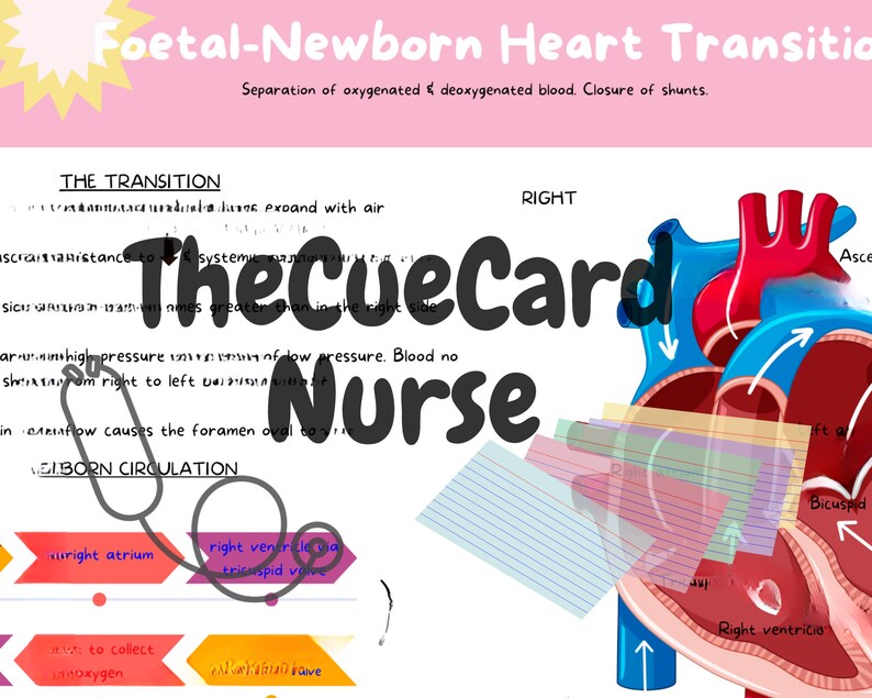 Neonatal Care Posters 2 DIGITAL DOWNLOAD - Etsy