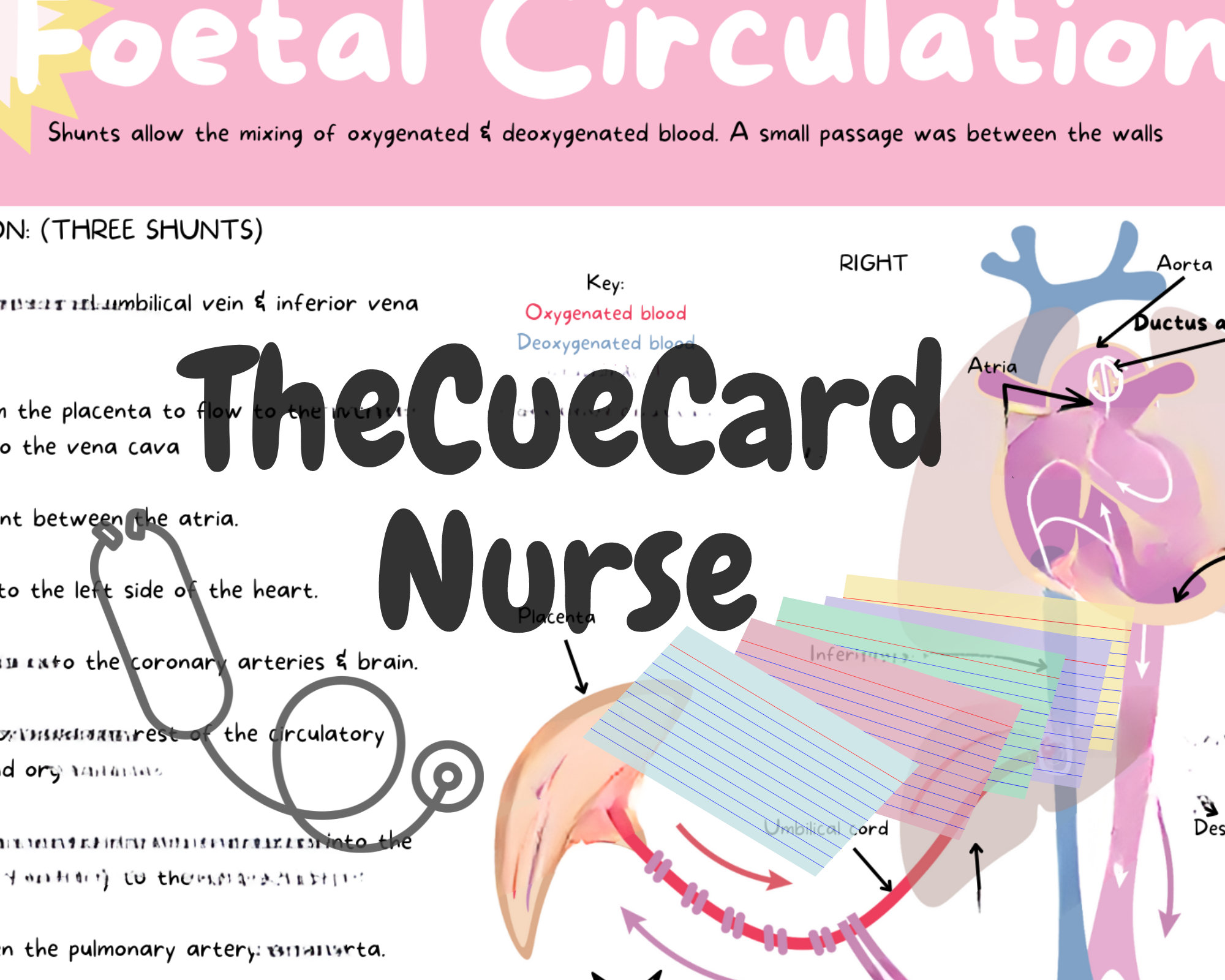 Neonatal Care Posters 2 DIGITAL DOWNLOAD - Etsy
