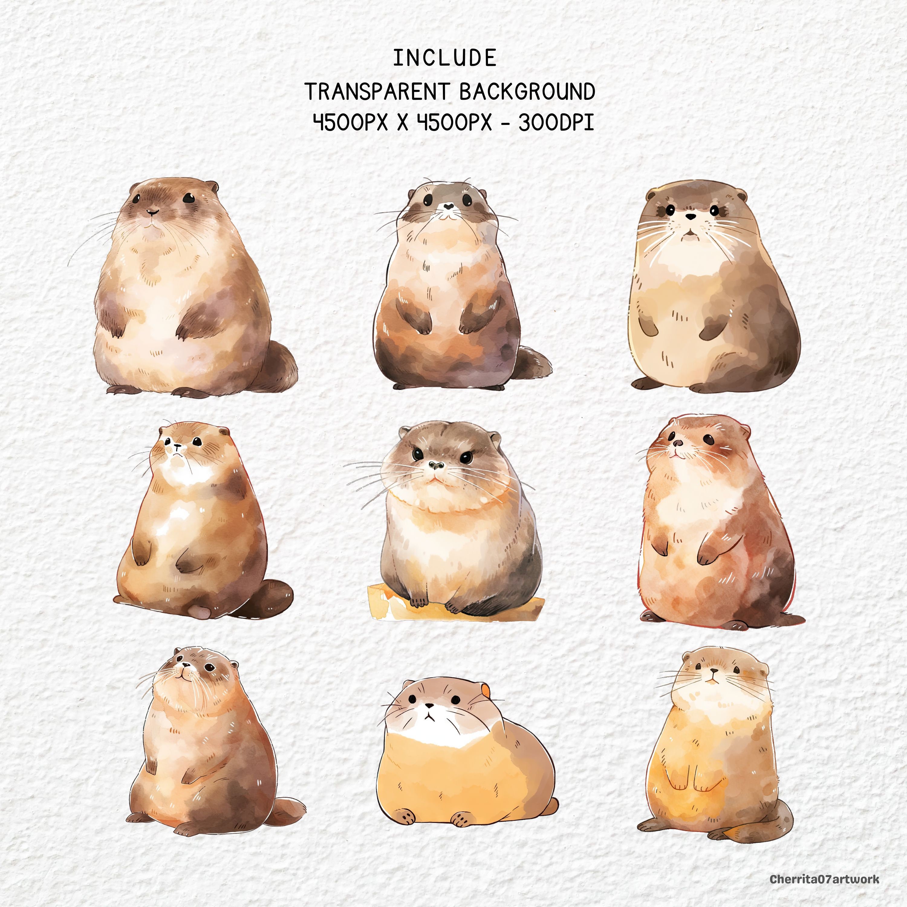 Marmot Clipart, Groundhog Watercolor PNG, Transparent 300 DPI, Wildlife ...