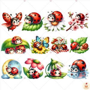Spring Ladybug Clipart, Cute Bug Png, Ladybird Png, Bug Life Png, Kids ...