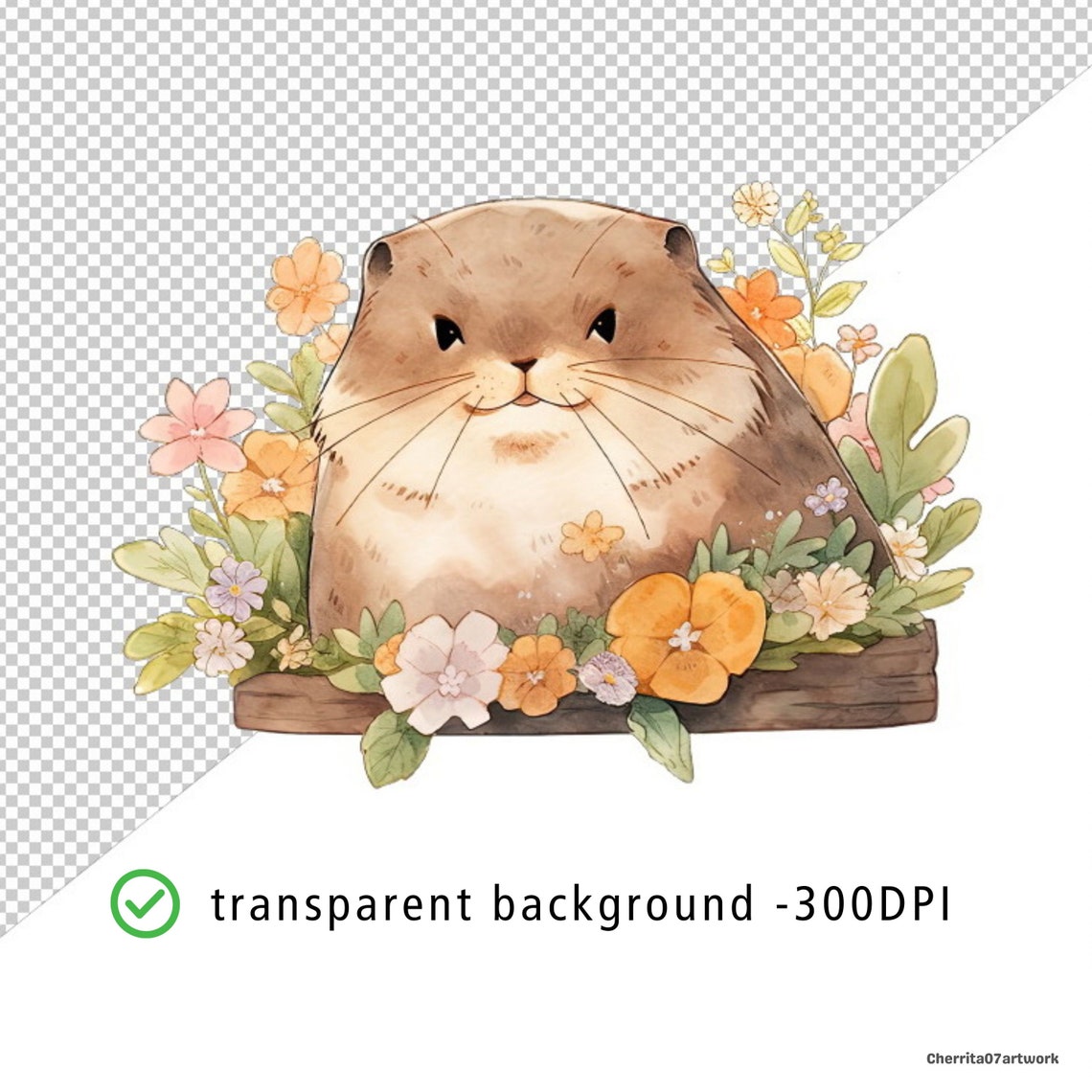 Marmot Clipart, Groundhog Watercolor PNG, Transparent 300 DPI, Wildlife ...