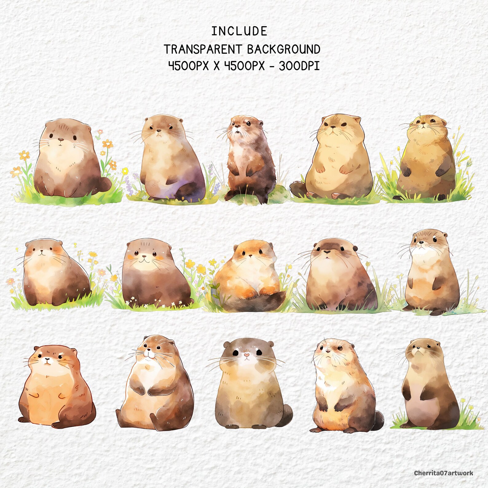 Marmot Clipart, Groundhog Watercolor PNG, Transparent 300 DPI, Wildlife ...