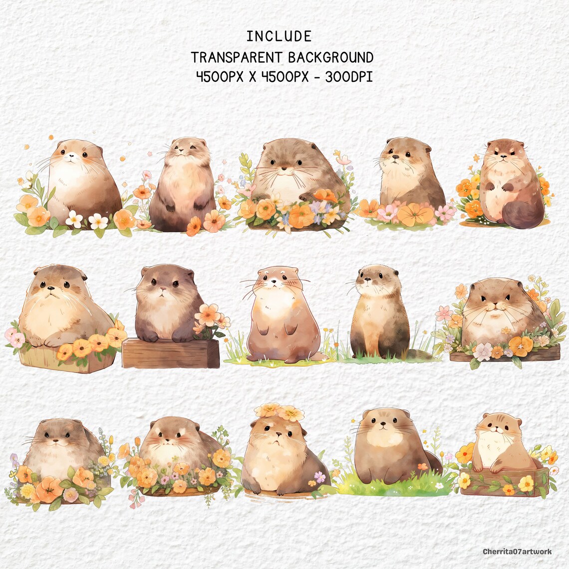 Marmot Clipart, Groundhog Watercolor PNG, Transparent 300 DPI, Wildlife ...