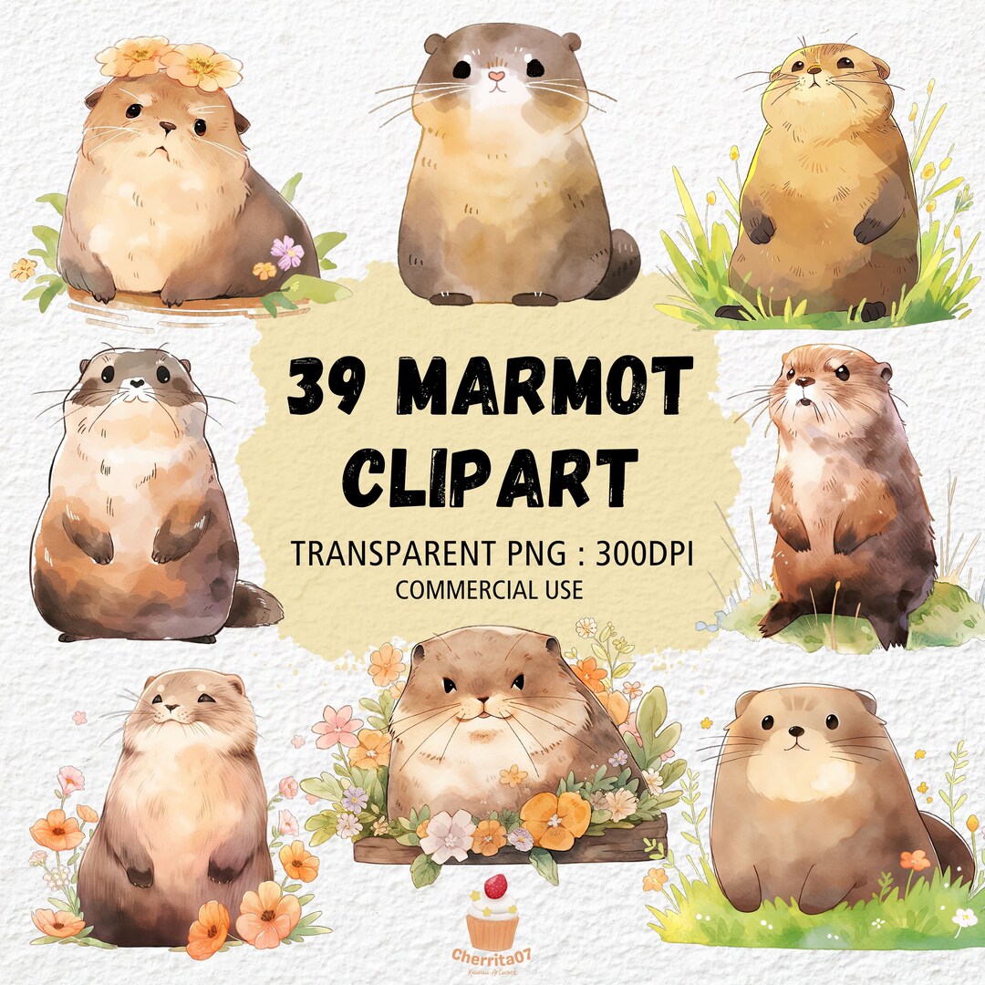 Marmot Clipart, Groundhog Watercolor PNG, Transparent 300 DPI, Wildlife ...