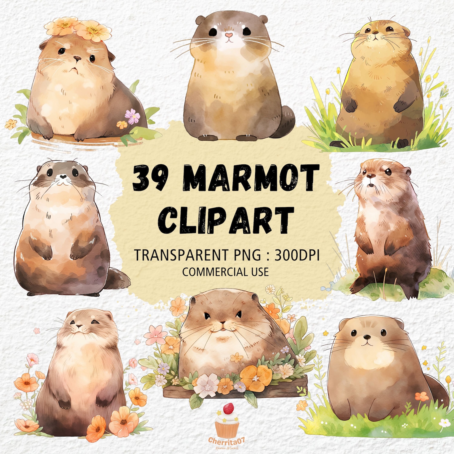 Marmot Clipart, Groundhog Watercolor PNG, Transparent 300 DPI, Wildlife ...