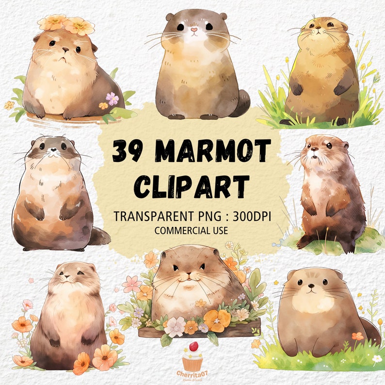 Marmot Clipart, Groundhog Watercolor PNG, Transparent 300 DPI, Wildlife ...