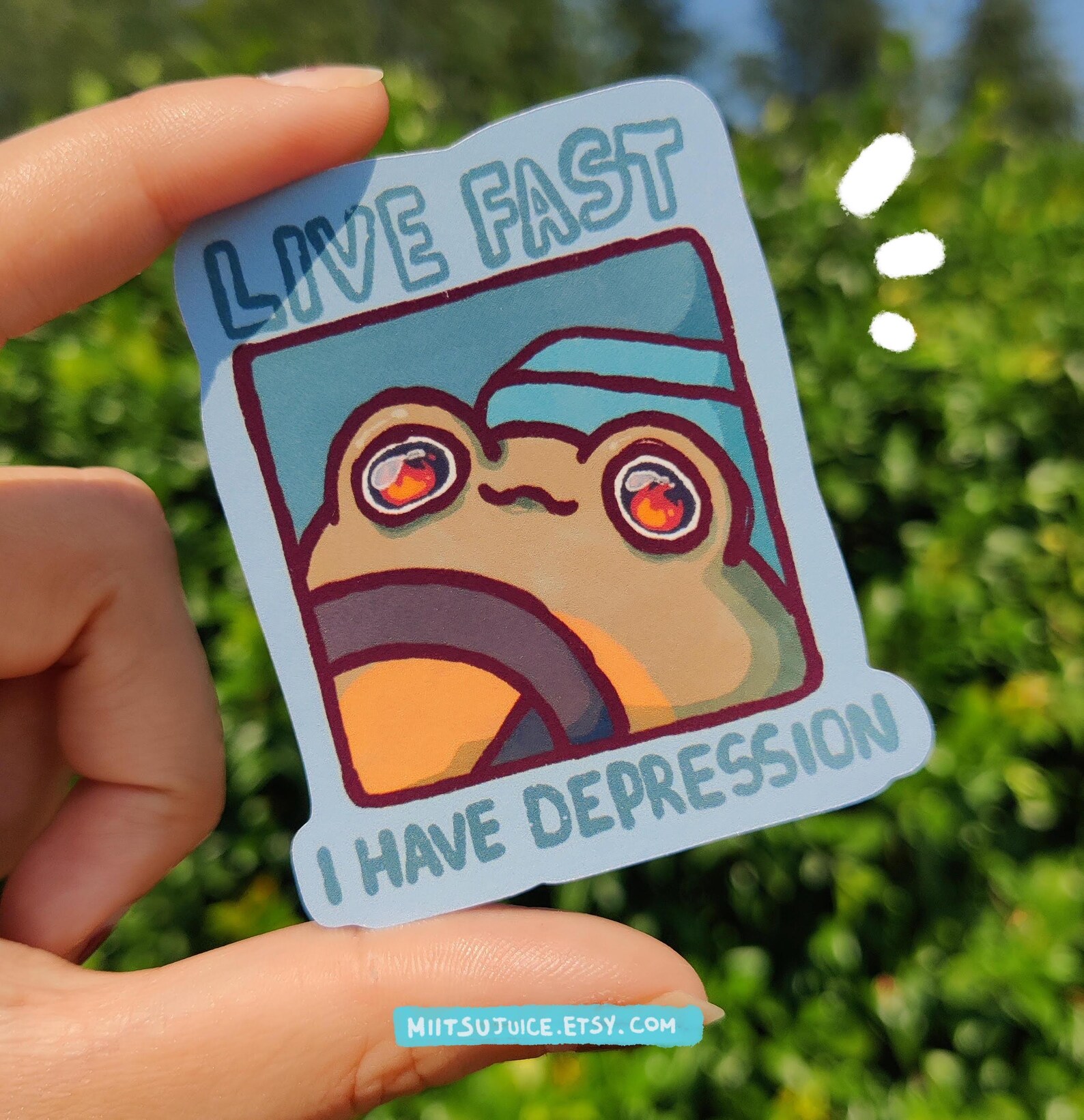 Live Fast Stickers Set - Set of 3 Cute Kawaii Animal Stickers, Gift ...