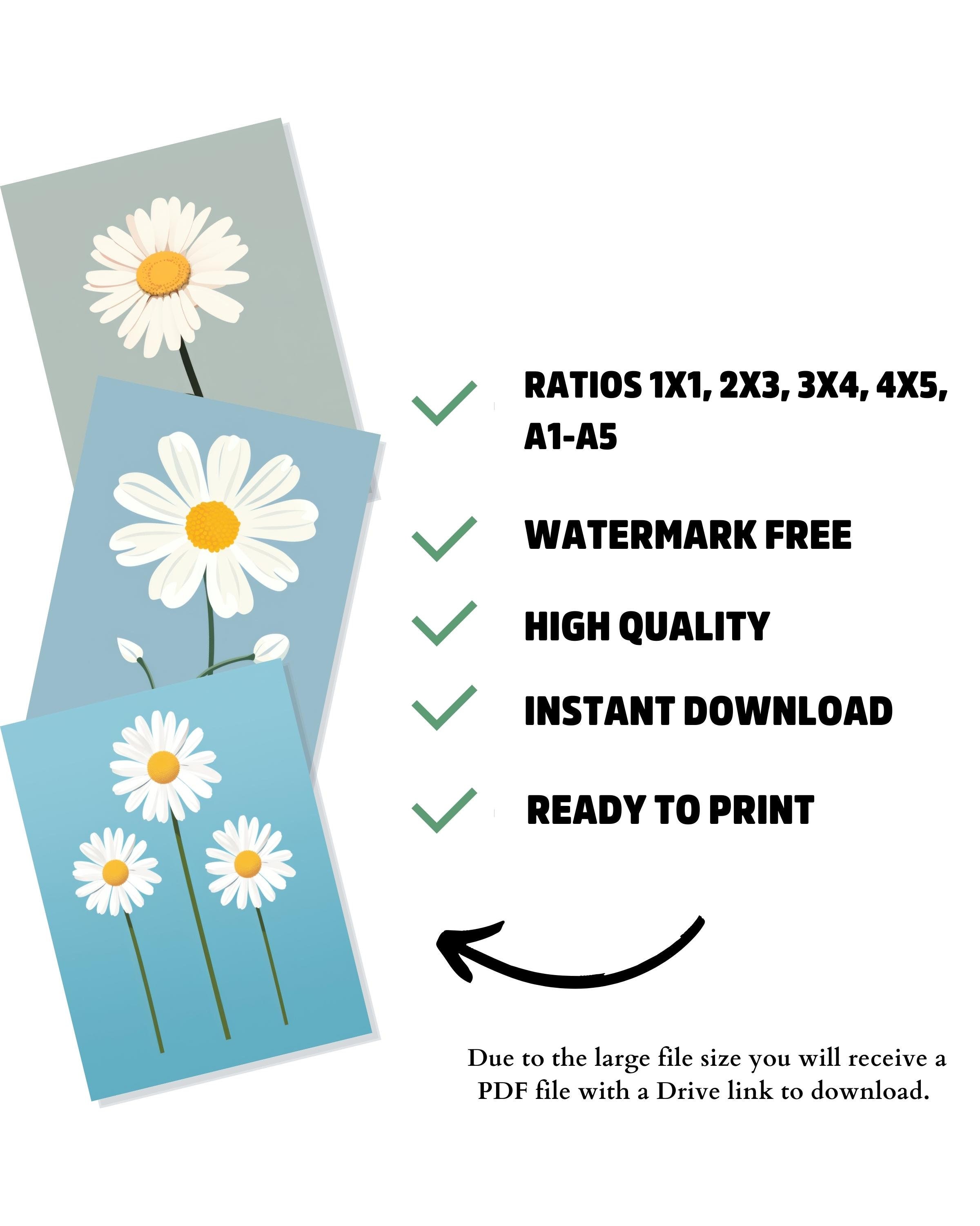 Daisy Print Set of 3, Flower Art Print, Floral Boho Wall Decor, Daisies ...