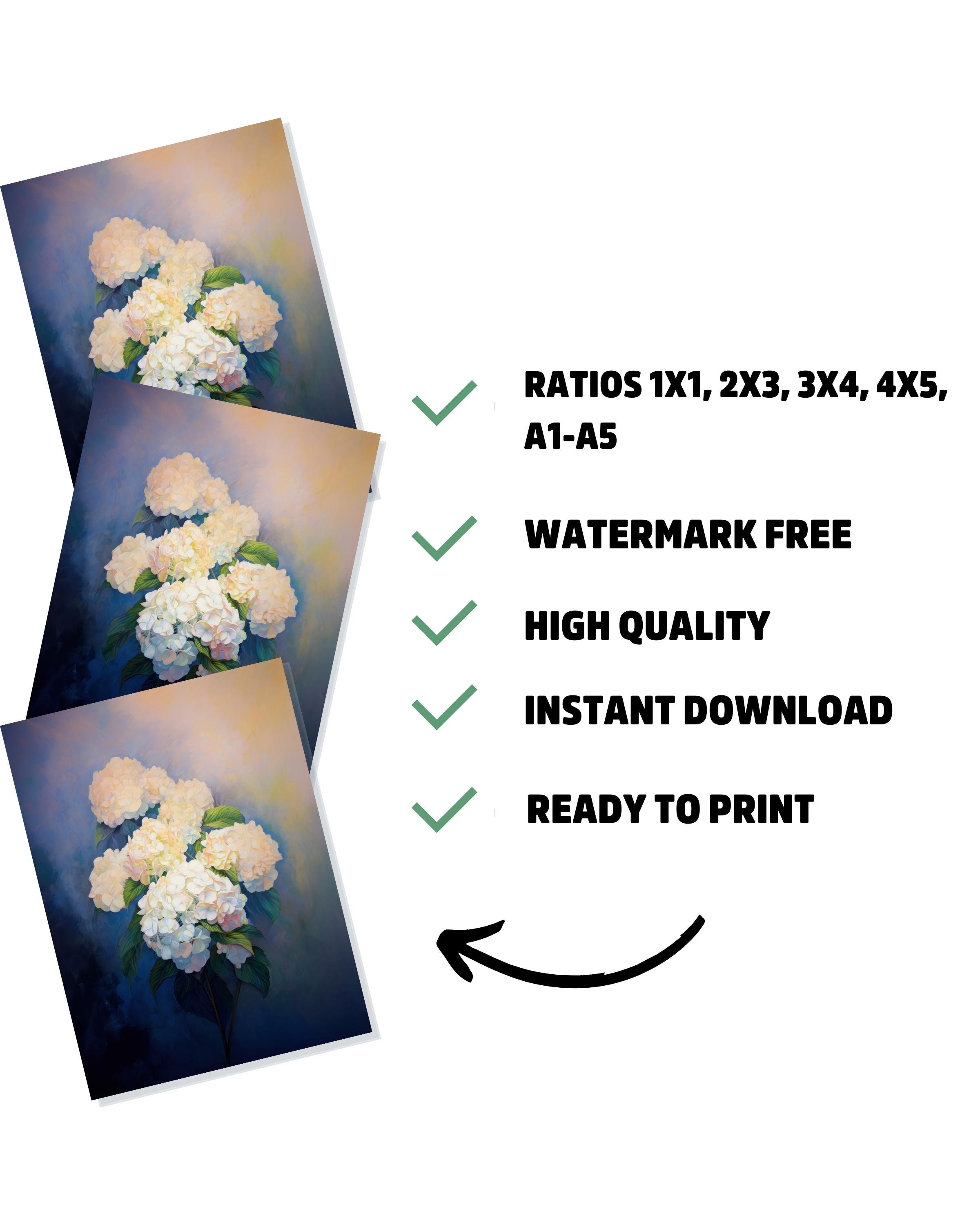 Hydrangea Wall Art Print, White Hydrangea Poster, Hydrangea Wall Decor ...