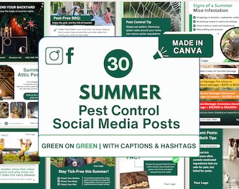 Pest Control ︱social Media Posts for Facebook and Instagram ...