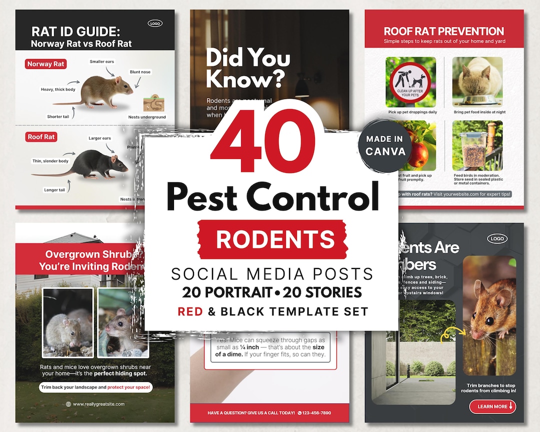 40 Rodent & Pest Control Templates, Editable Social Media Posts for ...