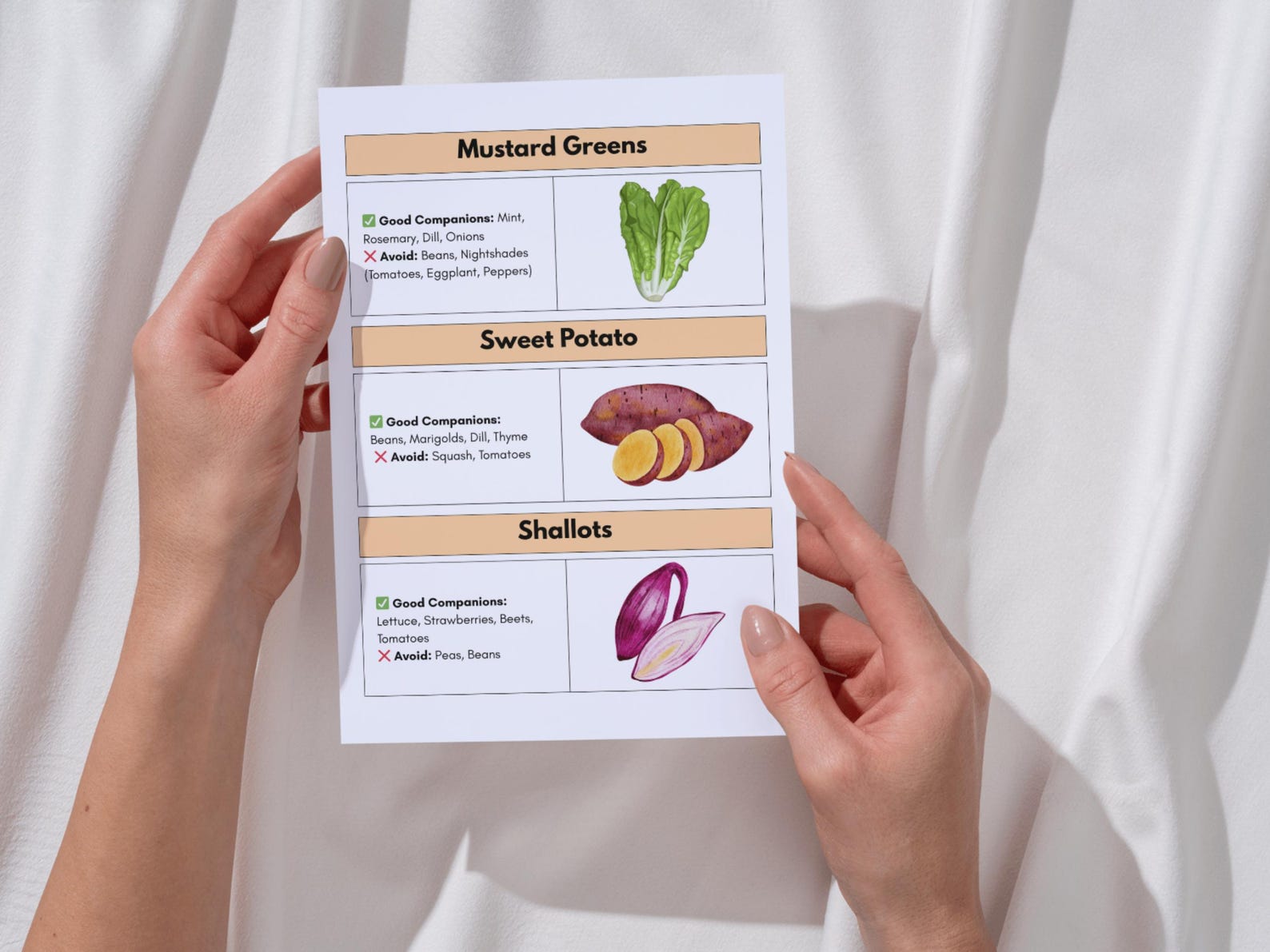 Companion Planting Guide Printable, Plant Pairing Cards, Garden Planner ...