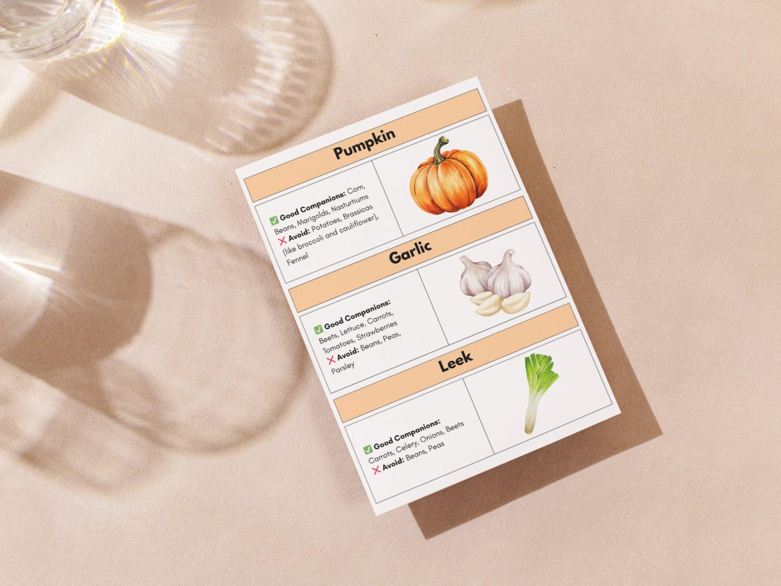 Companion Planting Guide Printable, Plant Pairing Cards, Garden Planner ...