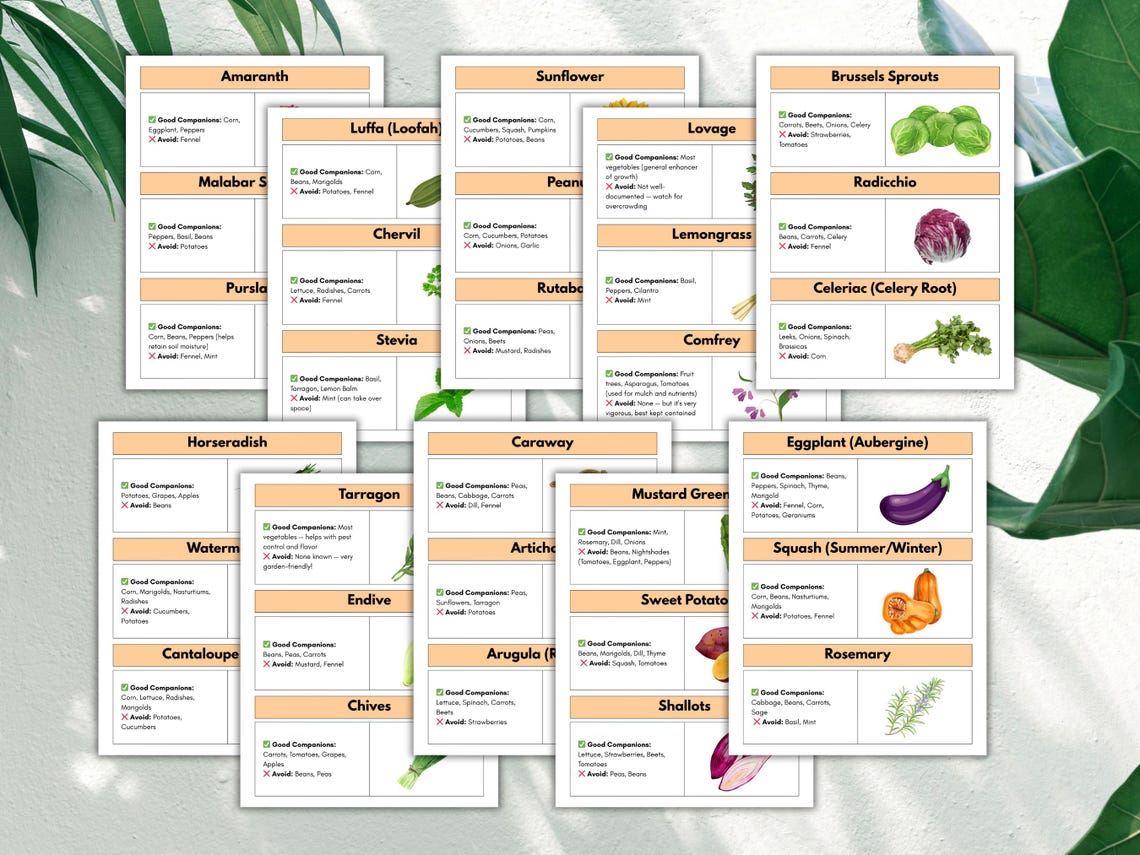 Companion Planting Guide Printable, Plant Pairing Cards, Garden Planner ...