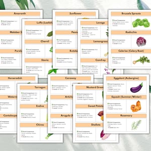 Companion Planting Guide Printable, Plant Pairing Cards, Garden Planner ...