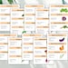 Companion Planting Guide Printable, Plant Pairing Cards, Garden Planner ...