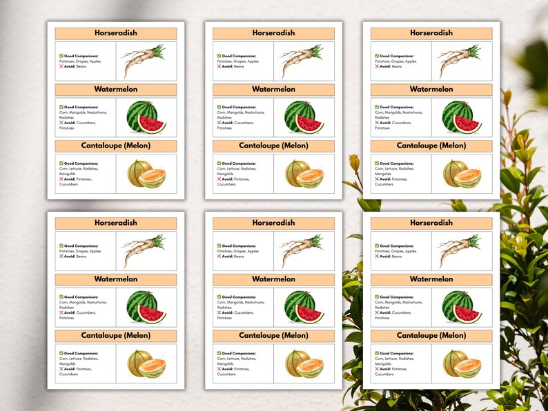 Companion Planting Guide Printable, Plant Pairing Cards, Garden Planner ...