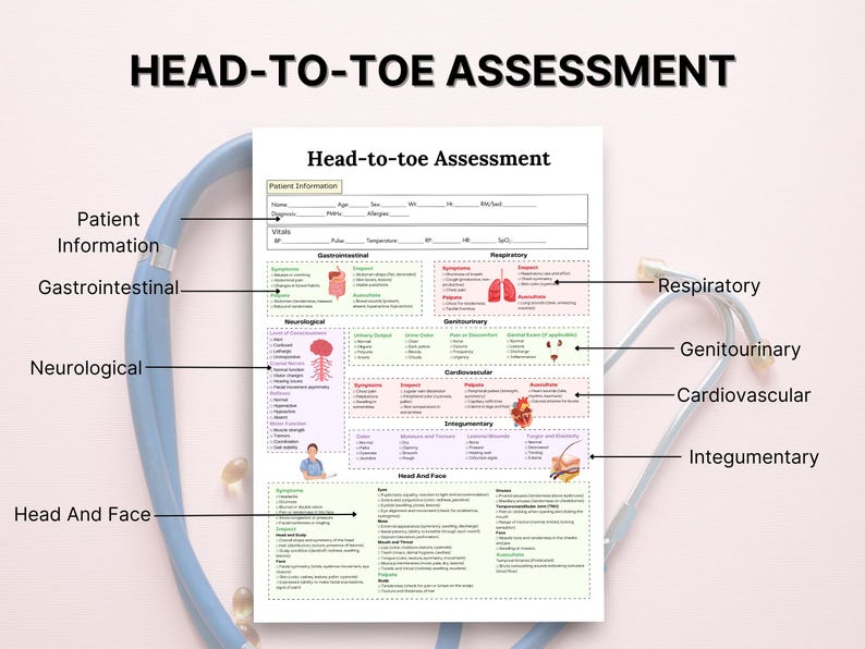 Head to Toe Assessment Template for Nursing Student Head to Toe ...