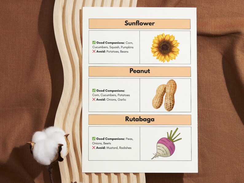 Companion Planting Guide Printable, Plant Pairing Cards, Garden Planner ...