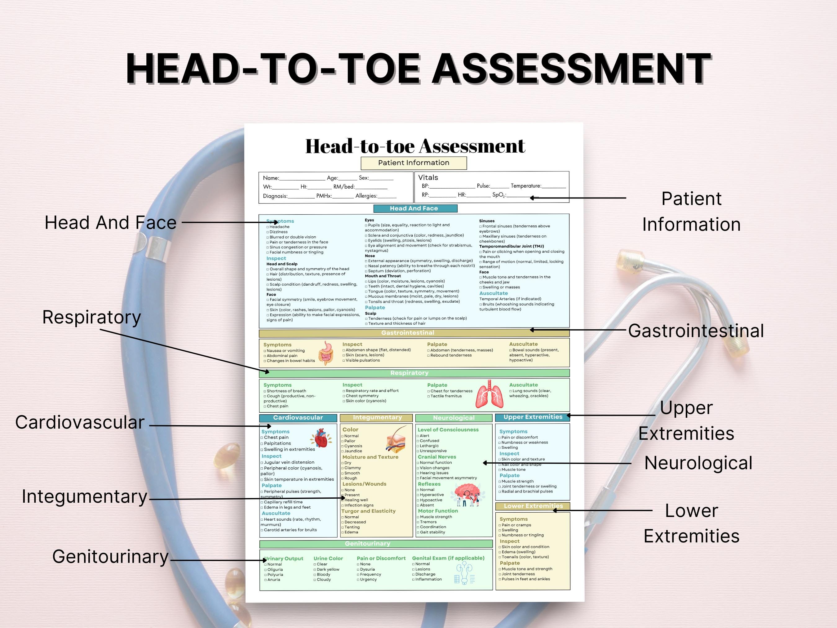 Head to Toe Assessment Template for Nursing Student Head to Toe ...