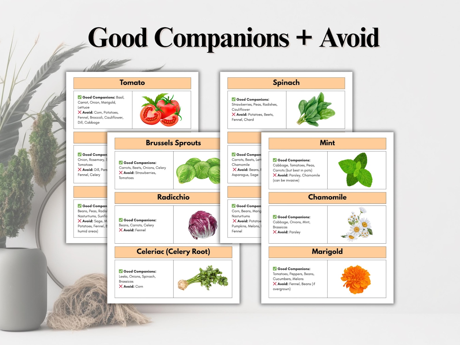 Companion Planting Guide Printable, Plant Pairing Cards, Garden Planner ...