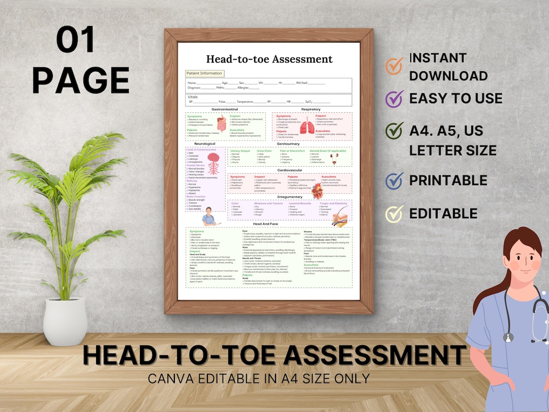 Head to Toe Assessment Template for Nursing Student Head to Toe ...