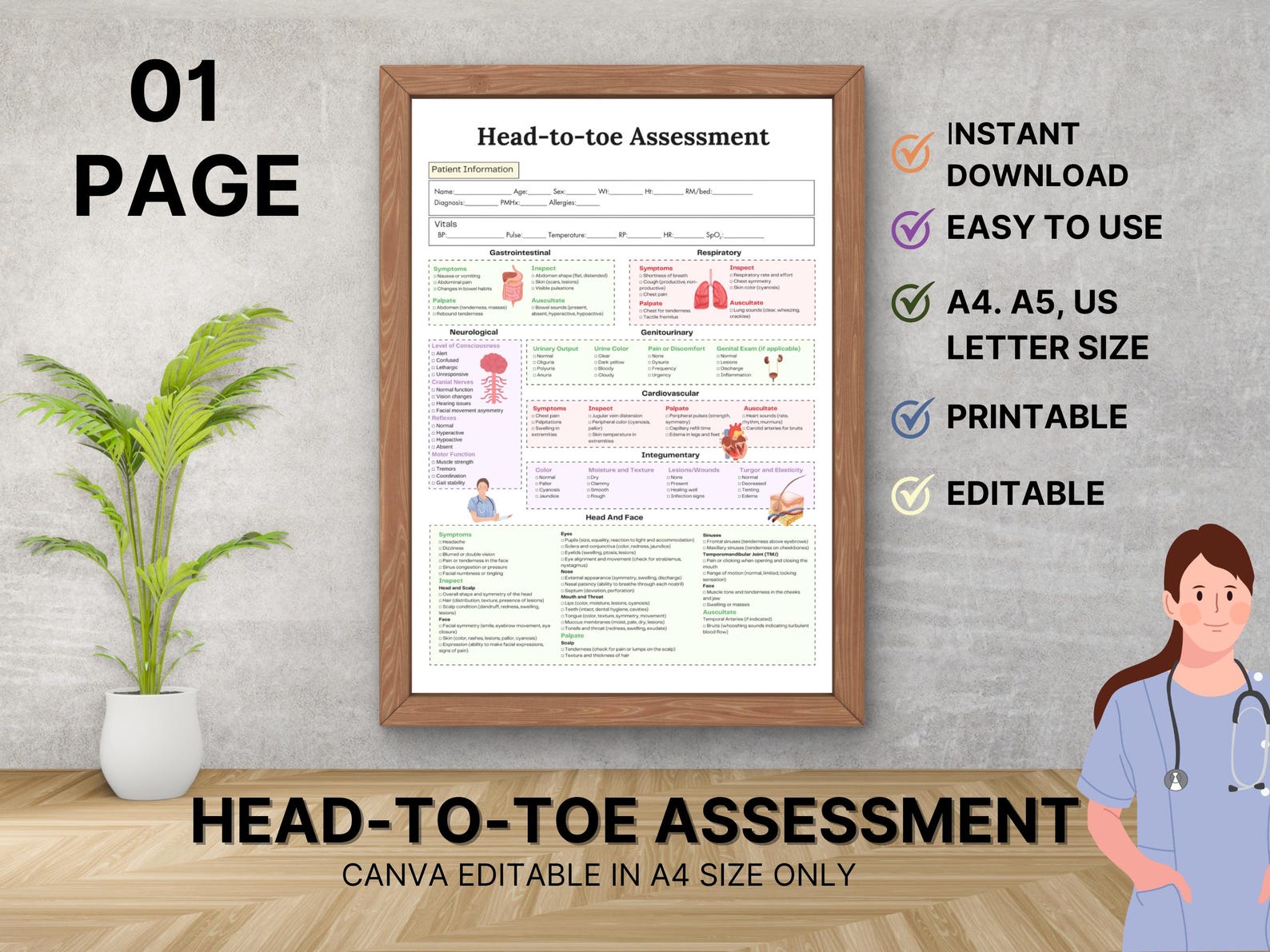 Head to Toe Assessment Template for Nursing Student Head to Toe ...