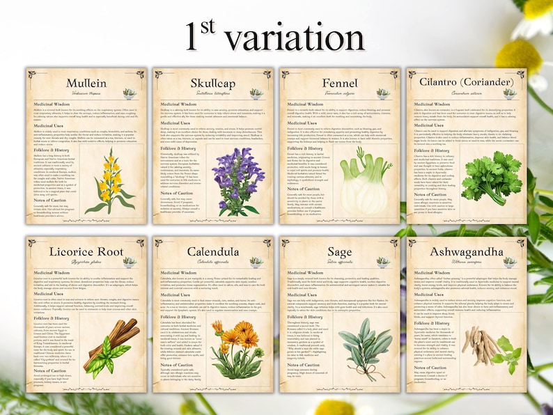 Medicinal Herbs Collection Printable | Herbal Apothecary Pages | Plant ...