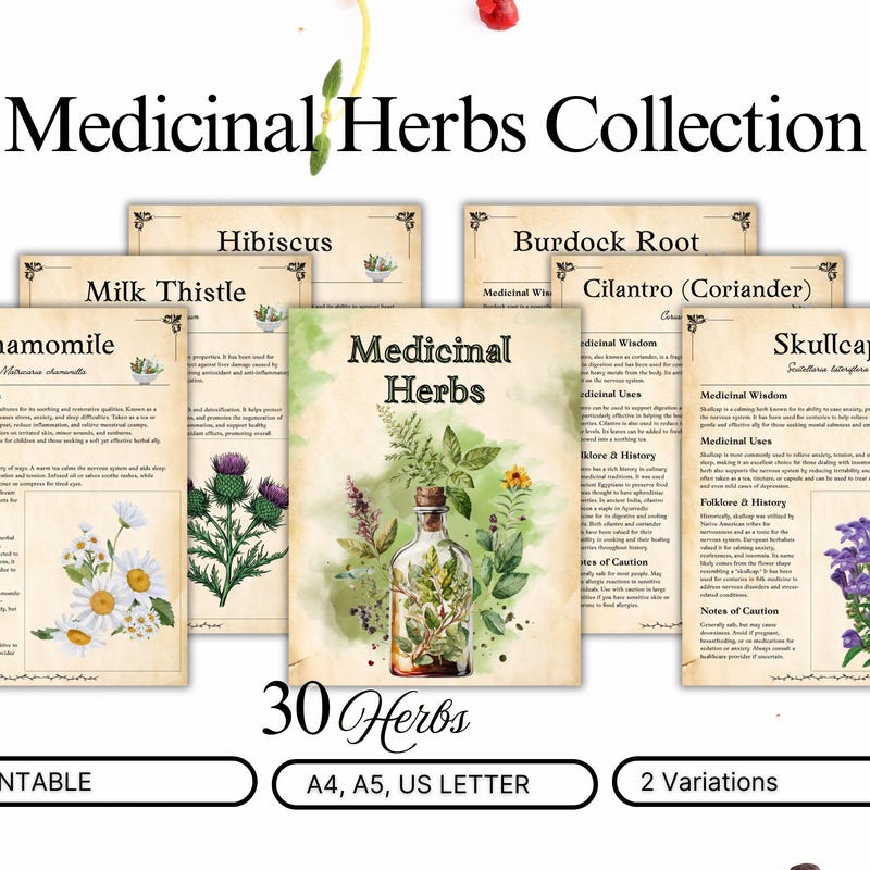 Herbal Reference Chart - Etsy UK