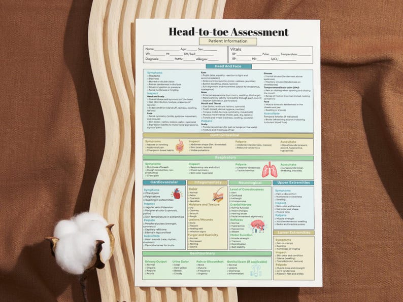 Head to Toe Assessment Template for Nursing Student Head to Toe ...