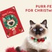 Custom Christmas Card Cat Christmas Card Personalized Cat - Etsy