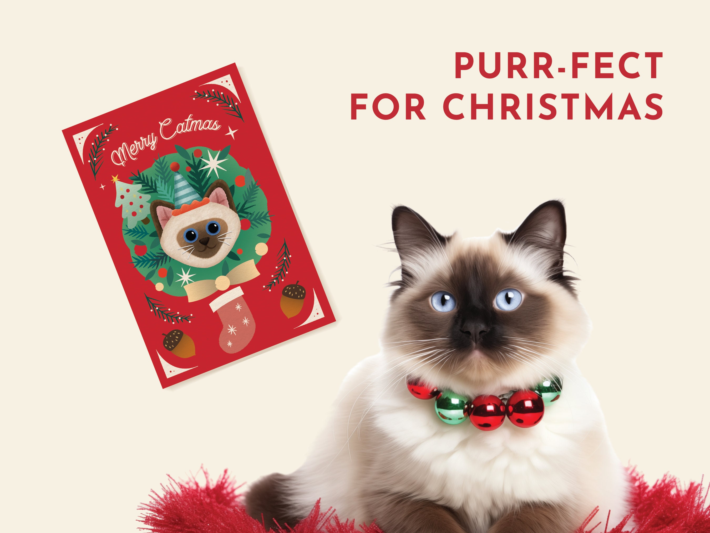 Custom Christmas Card Cat Christmas Card Personalized Cat - Etsy