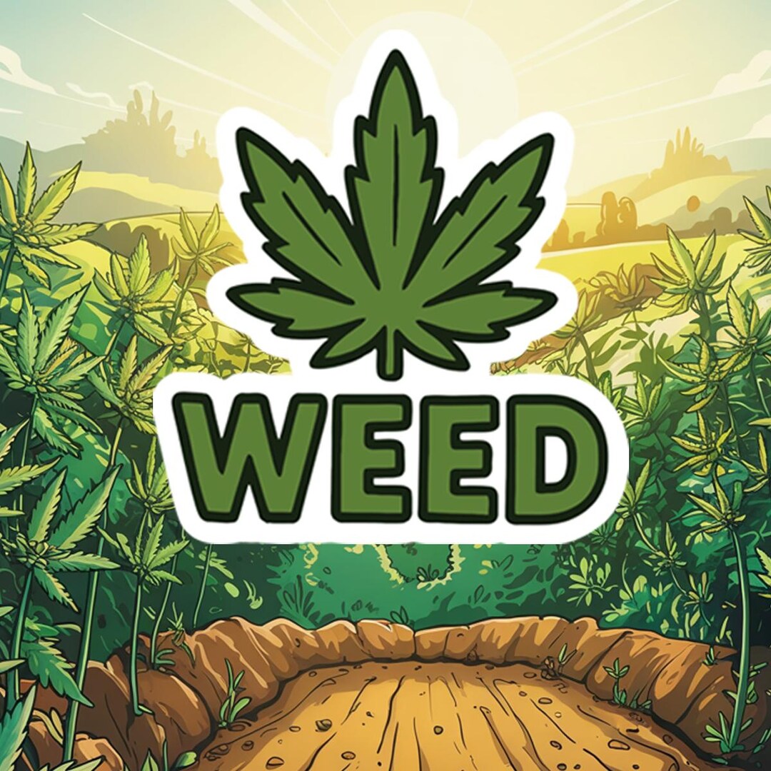 Weed Leaf Sticker – 420 Vinyl Decal With 'weed' Text for Laptop, Water ...